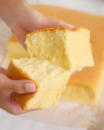 Taiwanese Castella Cake – Takes Two Eggs