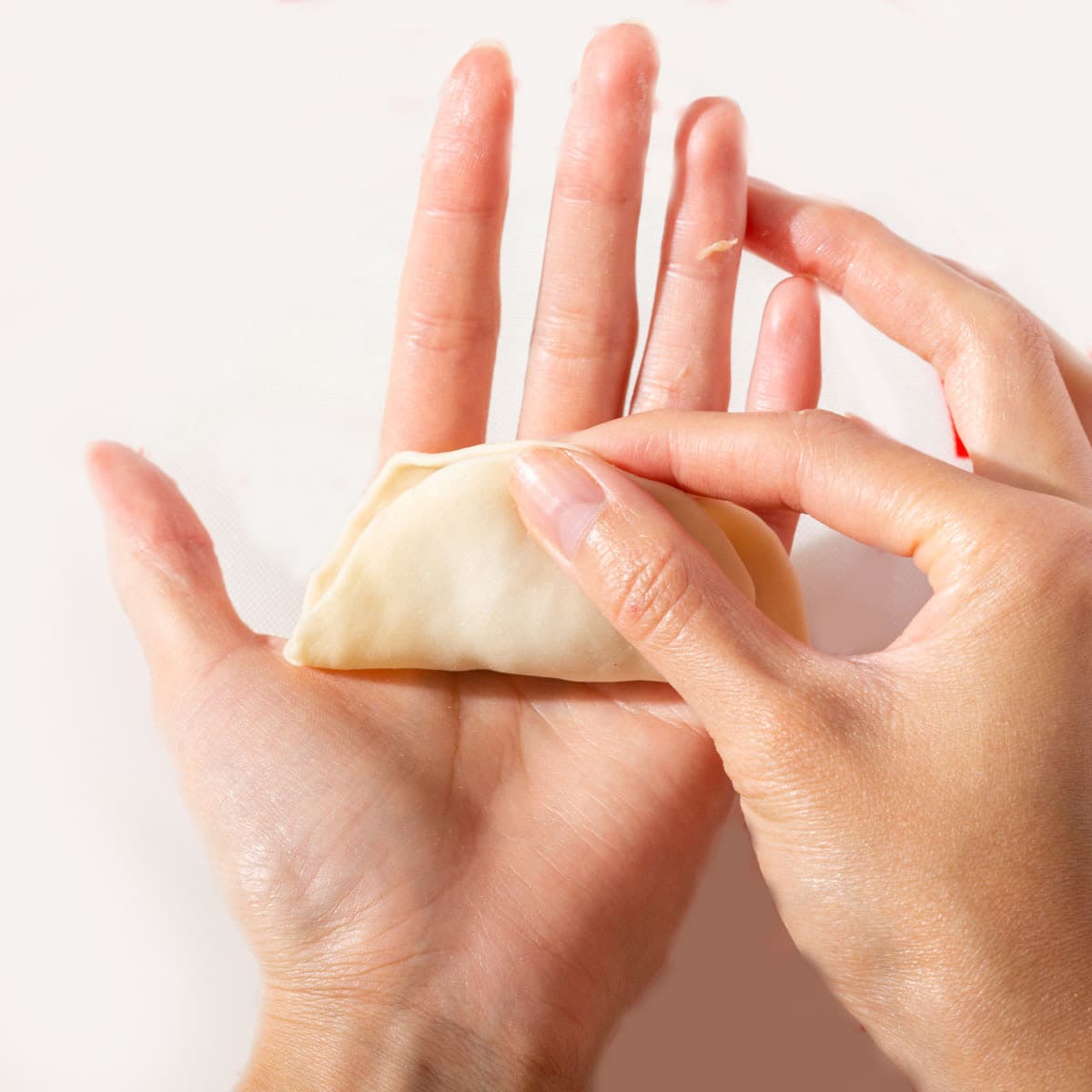 Pork and Chive Dumplings – Takes Two Eggs