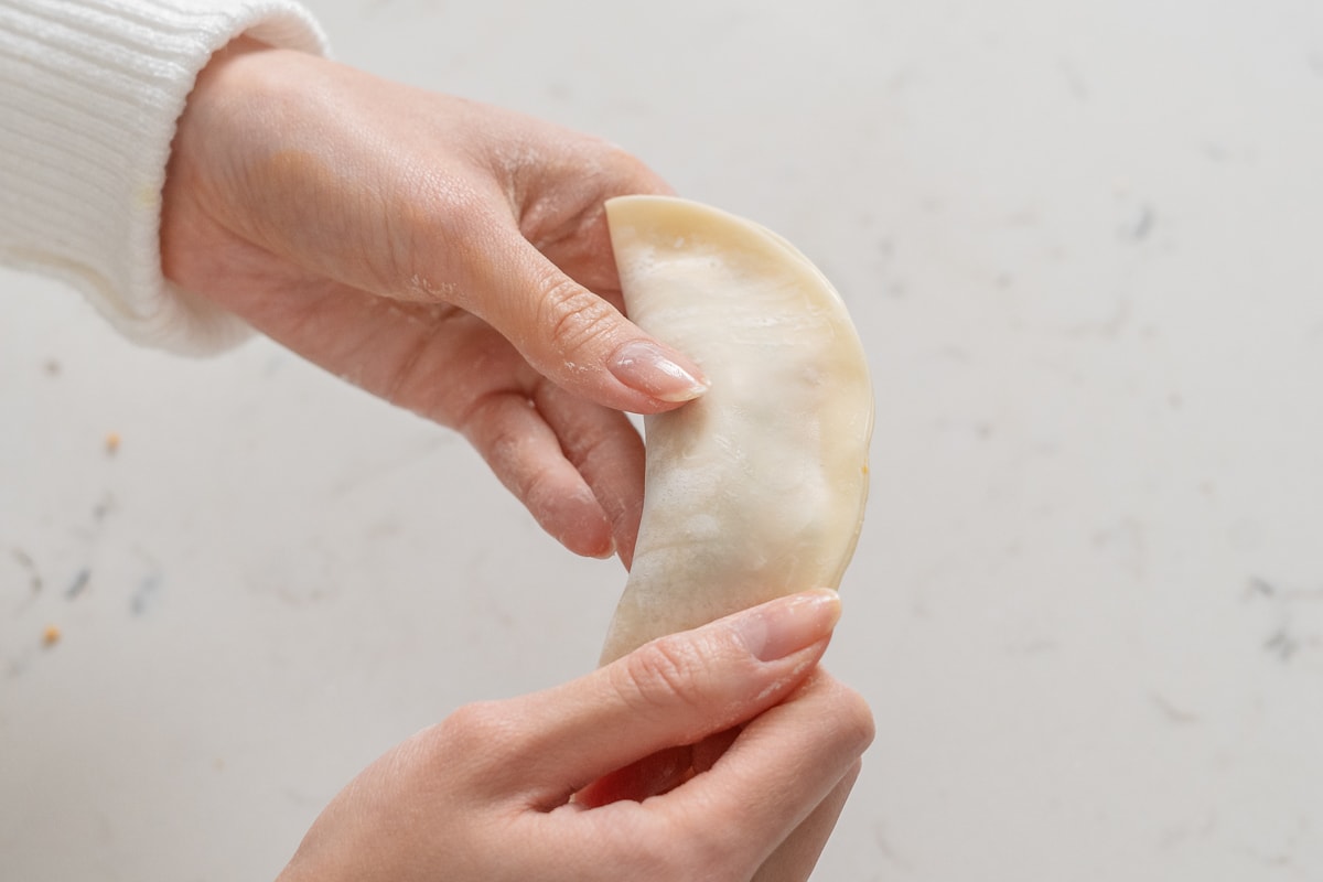 Kimchi Mandu (Korean Kimchi Dumplings) – Takes Two Eggs