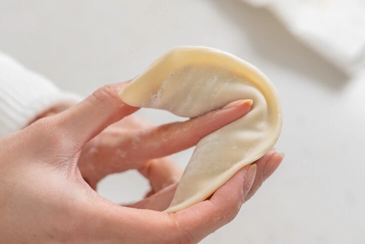 Kimchi Mandu (Korean Kimchi Dumplings) – Takes Two Eggs