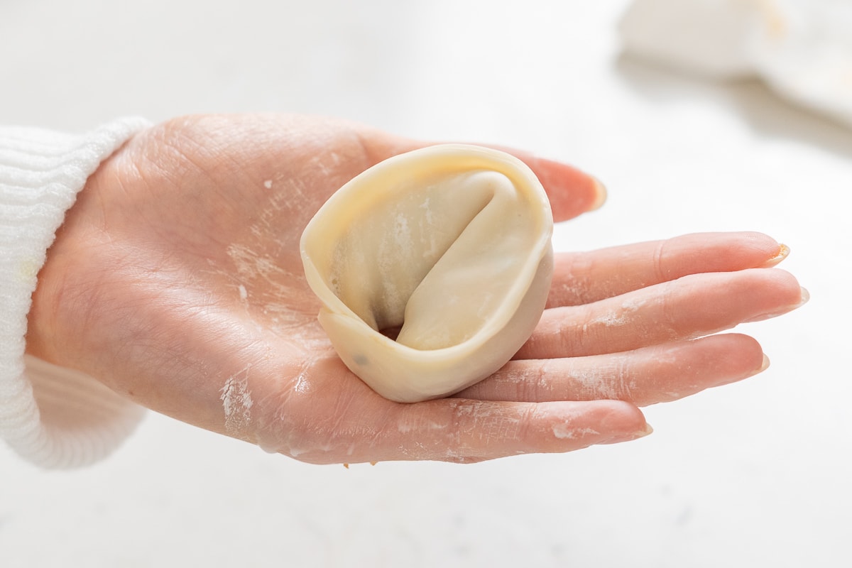 Kimchi Mandu (Korean Kimchi Dumplings) – Takes Two Eggs