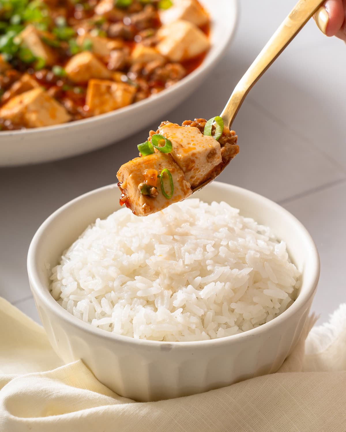 Mapo Tofu – Takes Two Eggs