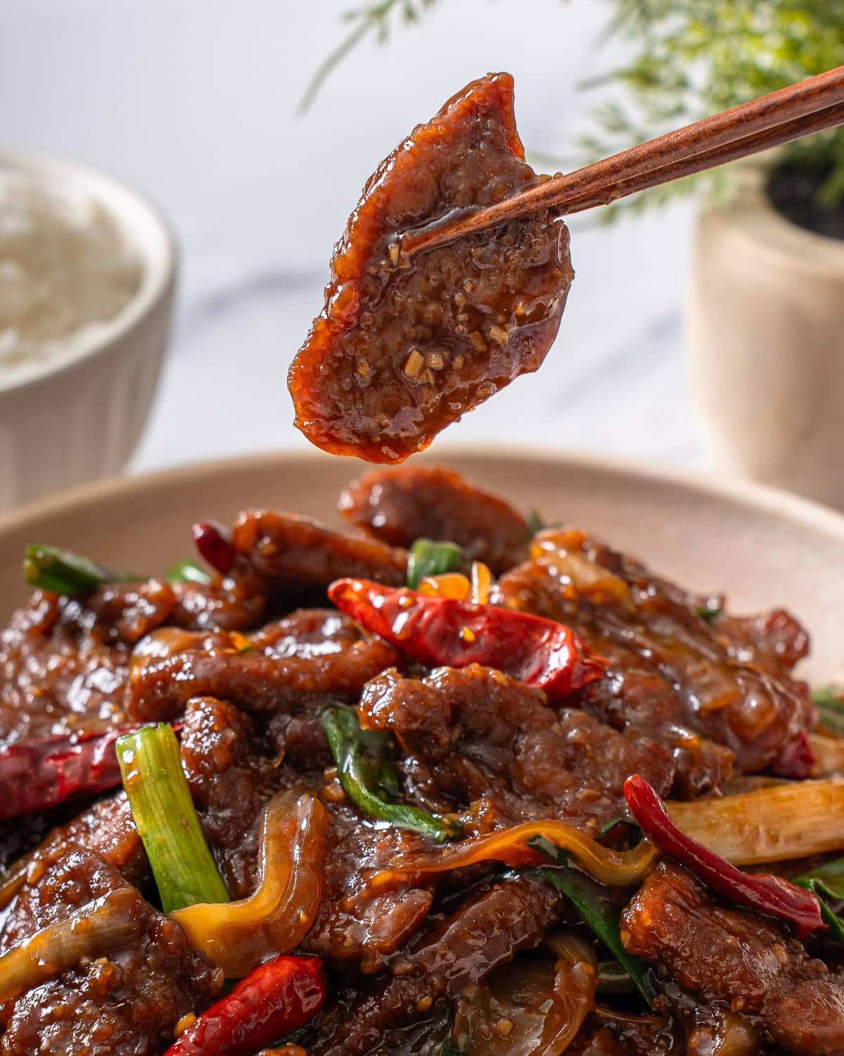 Mongolian Beef (Better than takeout!) – Takes Two Eggs