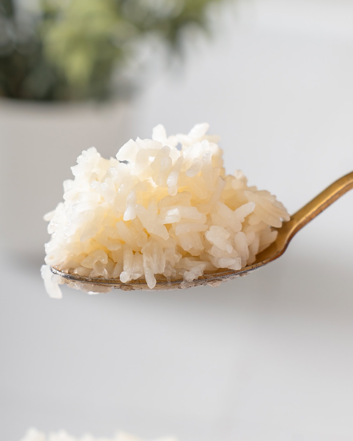 How to Cook Sticky Rice – Takes Two Eggs