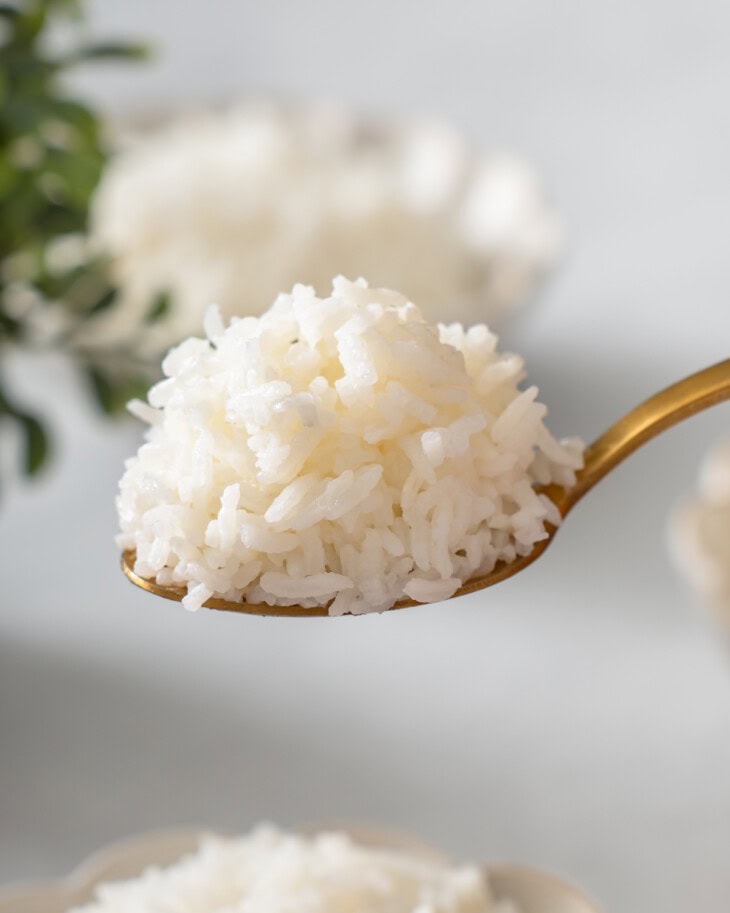 How to Cook Rice in a Rice Cooker – Takes Two Eggs