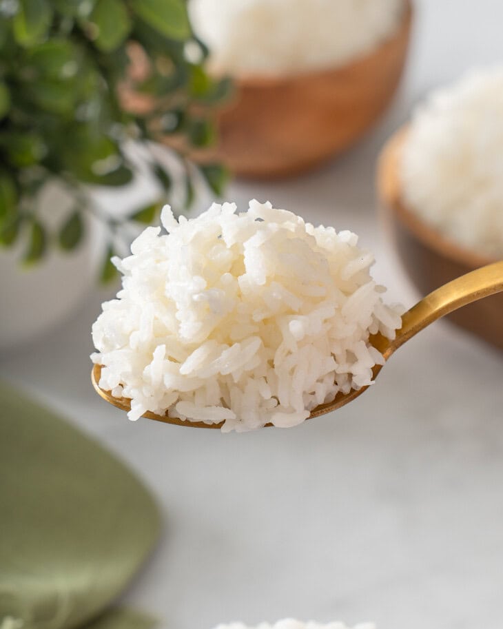 How to Cook Rice on the Stove – Takes Two Eggs
