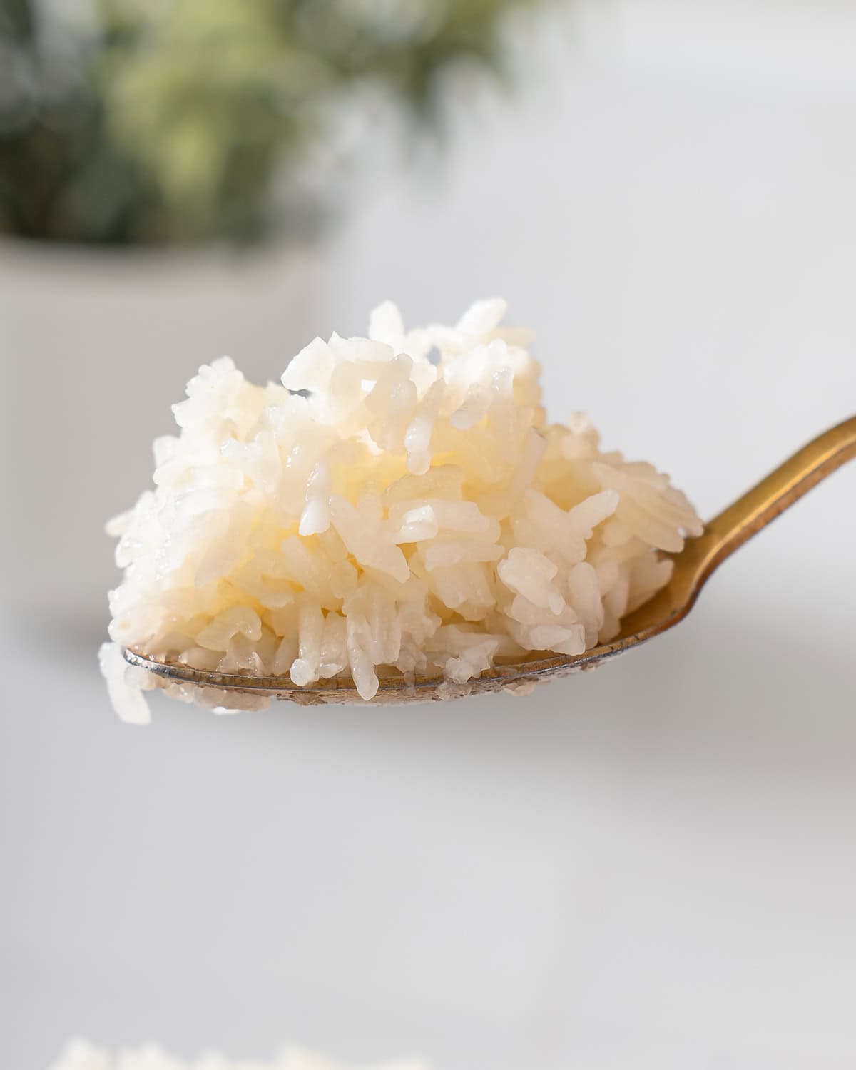 How to Cook Sticky Rice in a Rice Cooker – Takes Two Eggs