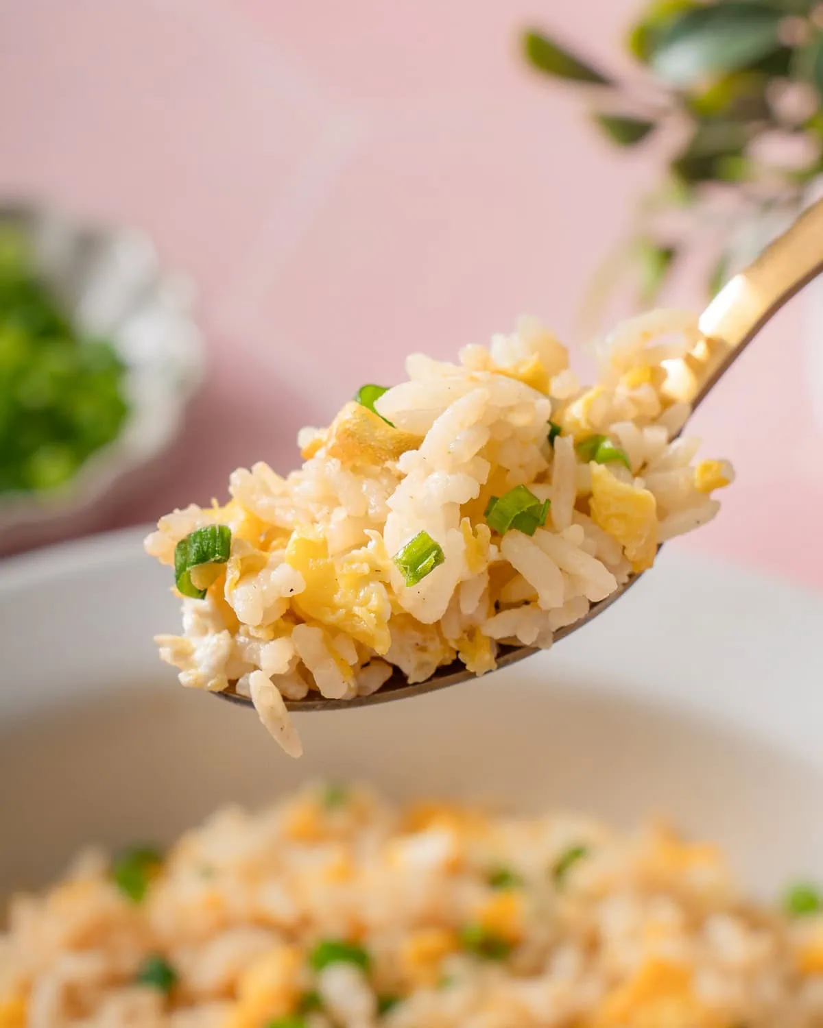 10 minute Egg Fried Rice (with Video)